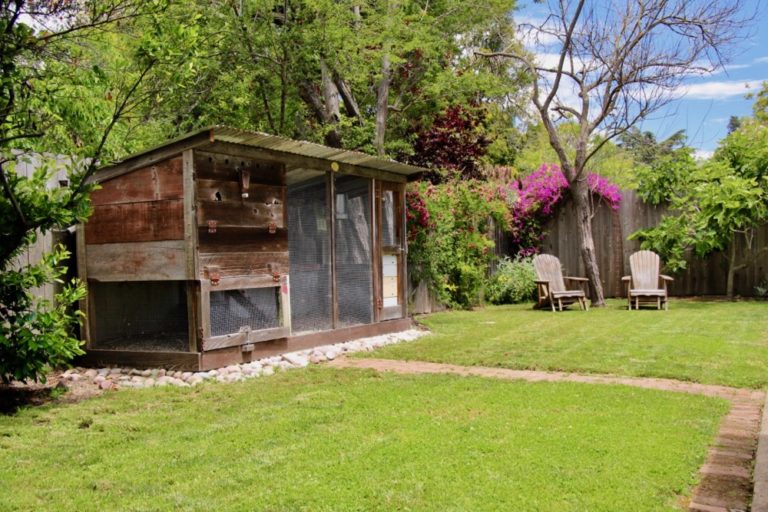 Mini Urban Homestead | Holly Rose